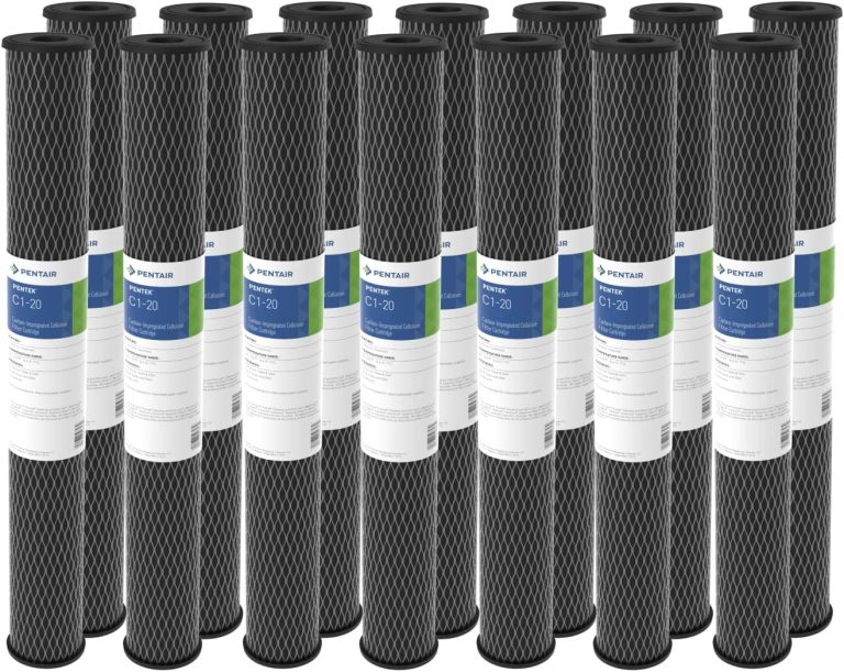 Pentair Pentek C1-20 Carbon Water Filter Review – Filtered Water Wise